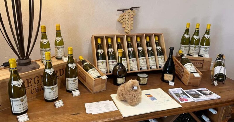 Bordeaux Private Walking & Tasting Tour - The Practicalities: What You Should Know