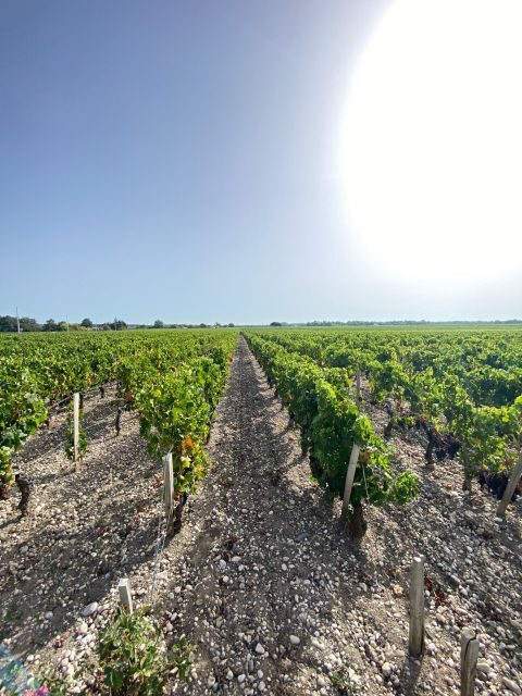 Bordeaux: Saint Emilion Village with Chateaus & Wine Tasting - Final Thoughts: Who Should Consider This Tour?