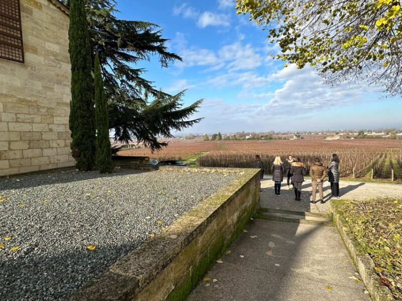 Bordeaux: Saint-Émilion wine tour in a small group - What to Expect from the Tour