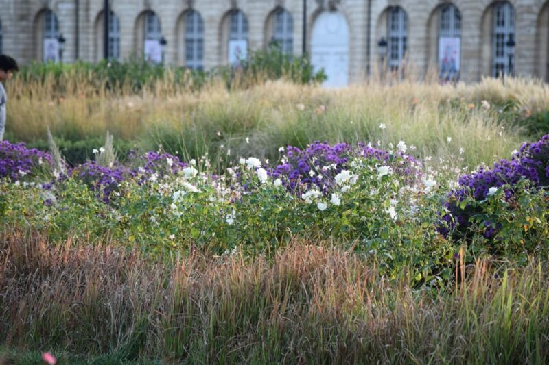 Bordeaux : see the whole city by bike - The Itinerary in Detail