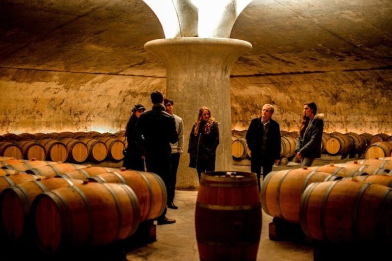 Bordeaux: St-Emilion and Medoc Wine Day Tour with Lunch - Discovering Bordeaux’s Wine Regions — An Overview