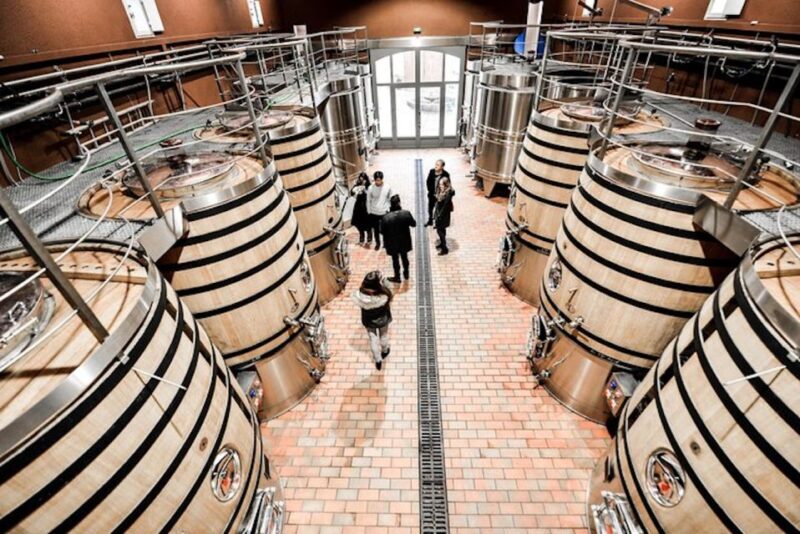 Bordeaux: St-Emilion and Medoc Wine Day Tour with Lunch - Exploring Saint-Emilion — The Medieval Village