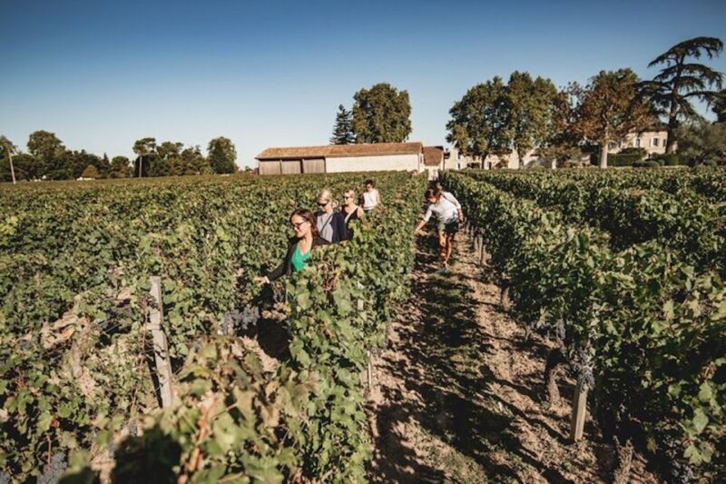 Bordeaux: St-Emilion and Medoc Wine Day Tour with Lunch - Practical Aspects and Value
