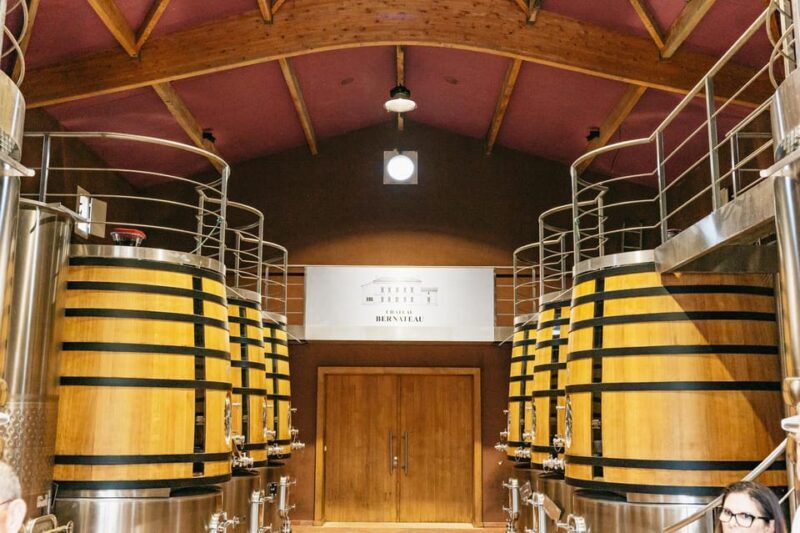 Bordeaux: St. Emilion Day Trip with Wine Tasting and Lunch - Final Tips