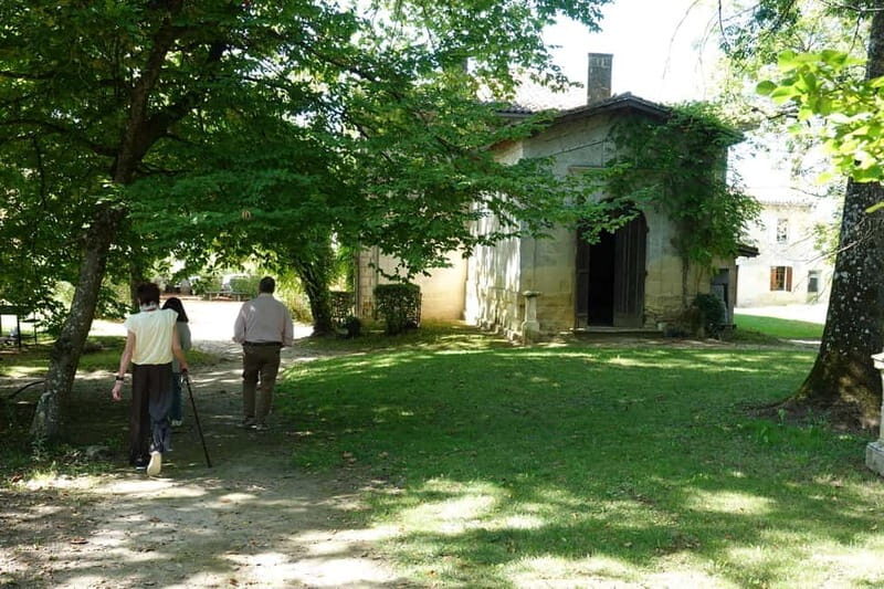 Bordeaux: St. Emilion Wine and E-Bike Tour with Lunch - Final Thoughts