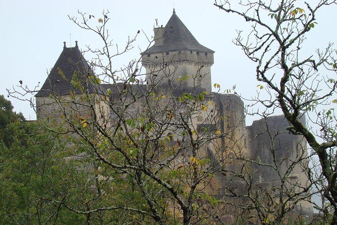 Bordeaux to Dordogne - Private Tour: Fortified Castles and Medieval Villages - Who Will Love This Tour?