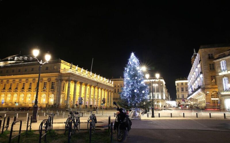 Bordeaux: Tour with Private Guide - Who Will Love This Tour?
