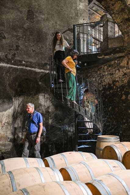 Bordeaux: Vineyards Wine Tasting Half-Day Trip - Introduction to the Experience
