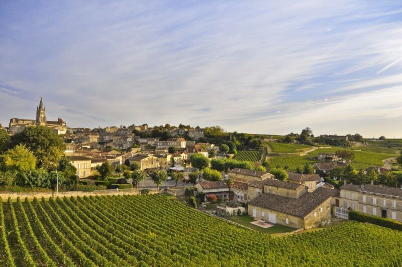 Bordeaux: Vineyards Wine Tasting Half-Day Trip - What’s Included & Not
