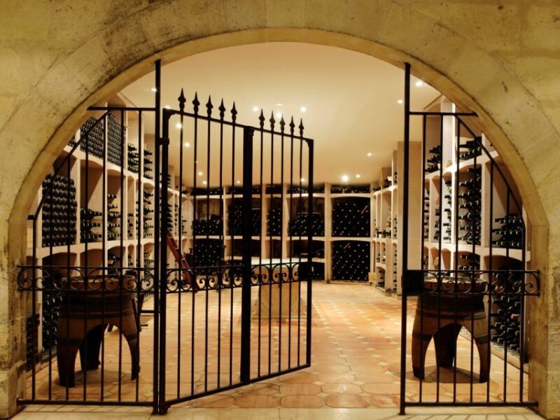 Bordeaux: Vineyards Wine Tasting Half-Day Trip - The Practicalities: What You Need to Know