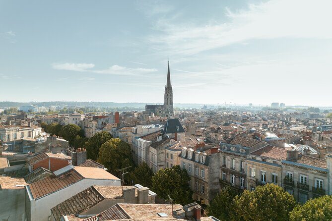 Bordeaux & wine cellar Private Guided Tour from San Sebastian - Exploring Bordeaux: City Landmarks and Free Time