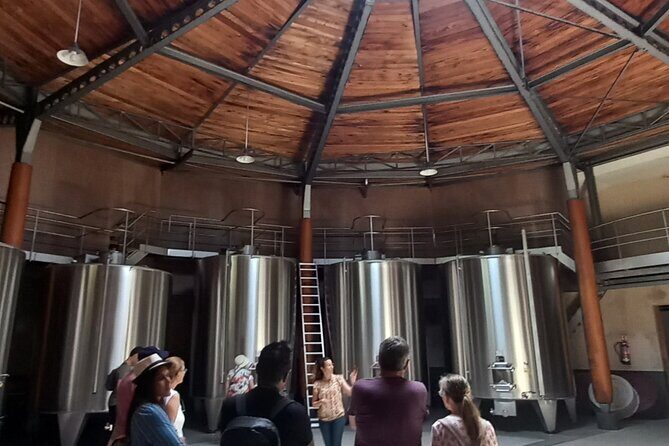 Bordeaux wine tour: 2 wineries (red & white wine) - Authentic and Well-Reviewed