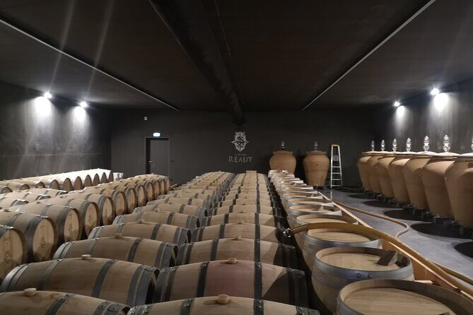 Bordeaux wine tour: 2 wineries (red & white wine) - Who Should Consider This Tour?