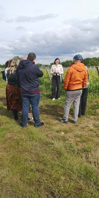 Bordeaux wine tour: 2 wineries & wine tastings (red & white) - Starting Point and Transportation: Ease and Comfort