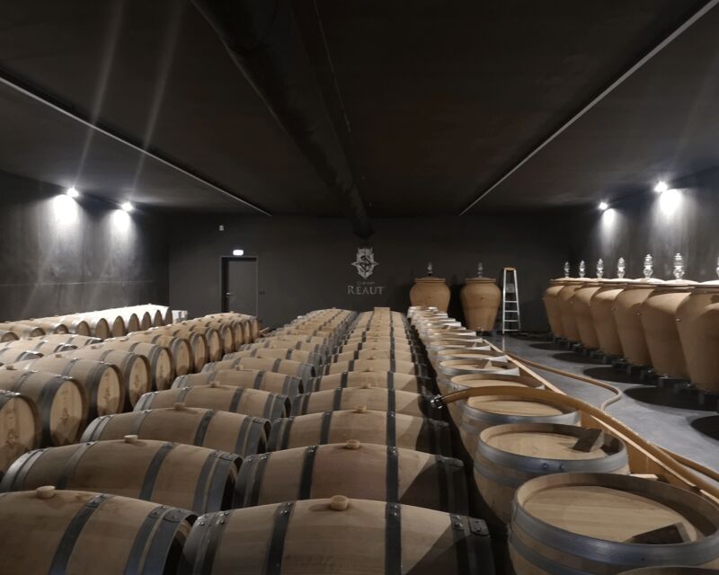 Bordeaux wine tour: 2 wineries & wine tastings (red & white) - Second Winery Visit: Wines of Different Styles