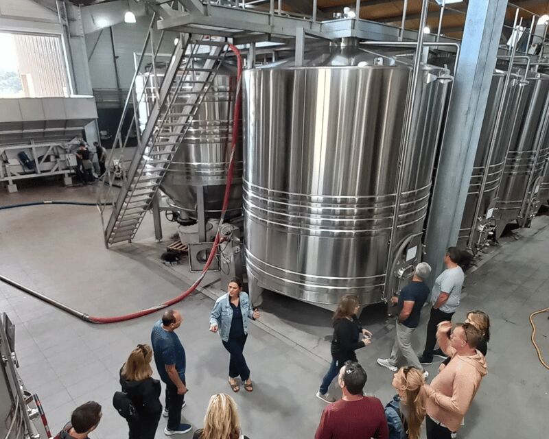 Bordeaux wine tour: 2 wineries & wine tastings (red & white) - Including Authentic, Delicious Wines