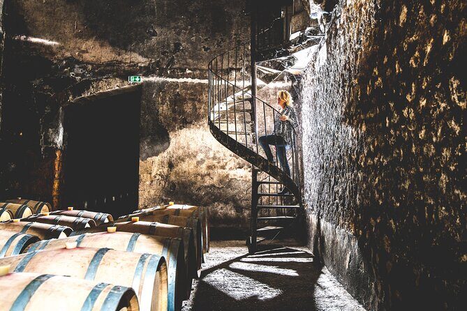 Bordeaux: Wine Tour and Tasting - A Closer Look at the Bordeaux Wine Tour and Tasting Experience