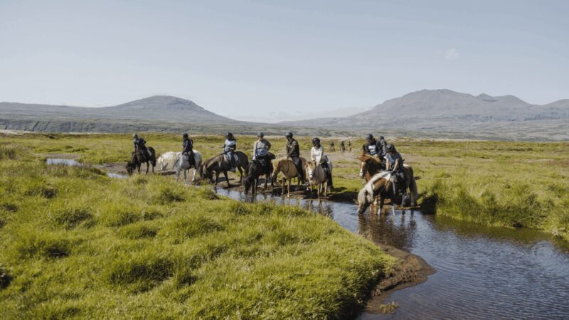 Borgarnes: Horseback Riding Tour with Prep Lesson - Why This Horseback Riding Tour Stands Out