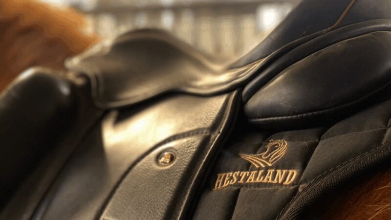 Borgarnes: Horseback Riding Tour with Prep Lesson - The Authentic Aspect of the Tour
