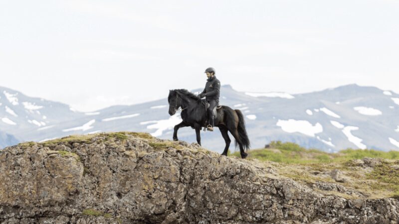 Borgarnes: Horseback Riding Tour with Prep Lesson - FAQ