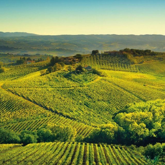 Borgunto non-alcoholic tasting - Balance and Authenticity
