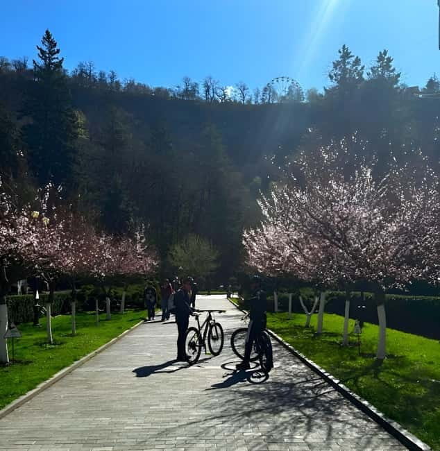 Borjomi Gorge Guided Bike Tour - Key Points