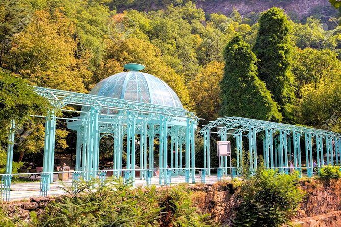 Borjomi National Park Full Day Private Tour From Tbilisi - Possible Drawbacks to Consider