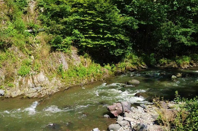 Borjomi Tour from Tbilisi with Bakuriani Resort and Soviet Train Ride - Key Points