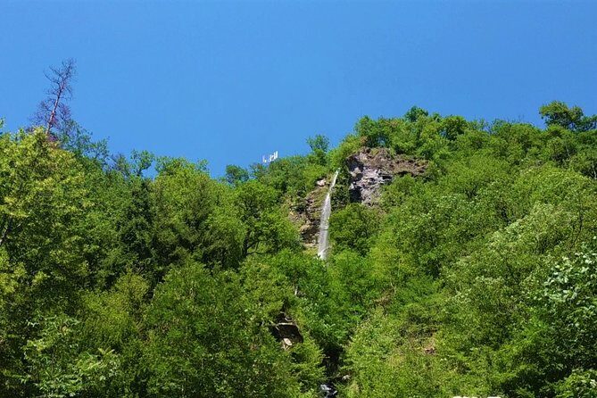 Borjomi Tour from Tbilisi with Bakuriani Resort and Soviet Train Ride - Final Thoughts