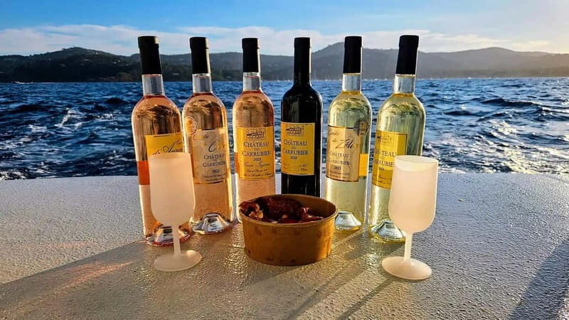Bormes-les-Mimosas: Aperitif Tasting Cruise at Sea on an electric boat - An In-Depth Look at the Experience