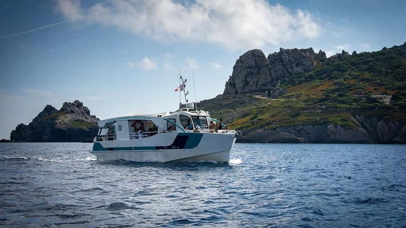 Bormes-les-Mimosas: Hybrid boat trip to Porquerolles Island - Practical Details & What It Means for You