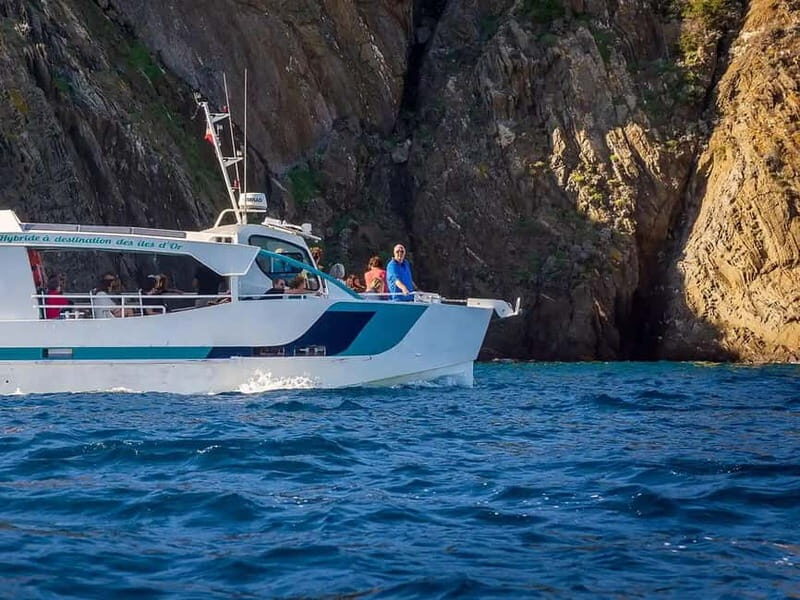 Bormes-les-Mimosas: Hybrid boat trip to Port-Cros Island - The Experience in Practice