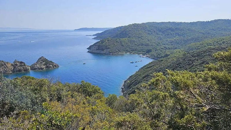 Bormes-les-Mimosas: Hybrid boat trip to Port-Cros Island - Who Should Consider This Tour?