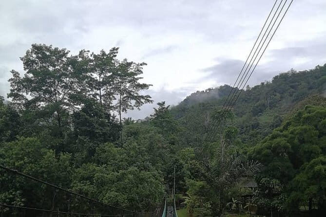 Borneo Combo Adventure - Exploring the 2-Day Itinerary: What You’ll Experience