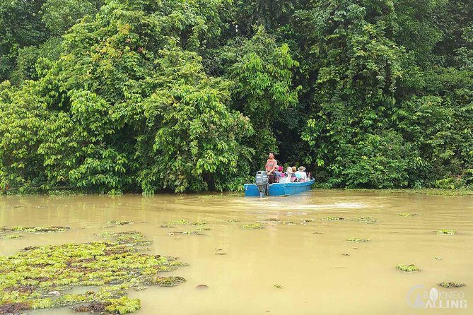 Borneo Kinabatangan River Cruise Day Trip - Dinner at the Lodge: A Local Flavor