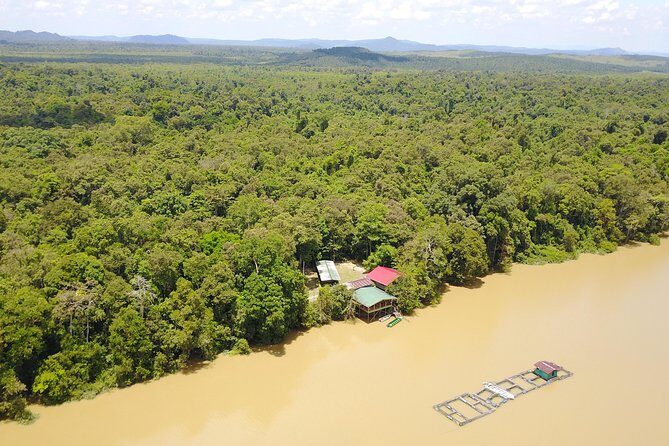 Borneo Wildlife Tour 2 Days 1 Night At Tanjung Bulat Jungle Camp Kinabatangan - An Authentic Jungle Adventure