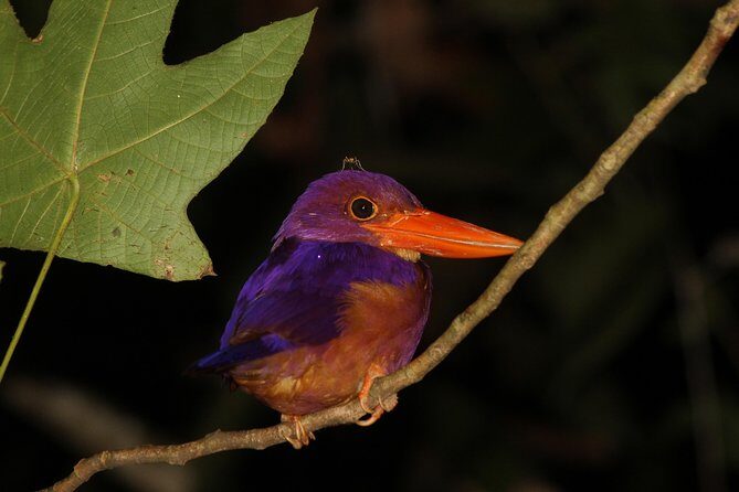 Borneo Wildlife Tour 2 Days 1 Night At Tanjung Bulat Jungle Camp Kinabatangan - Food and Facilities