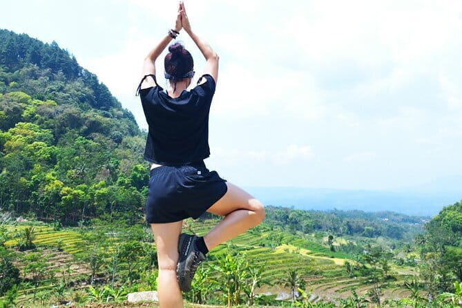 Borobudur Climb Up and Selogriyo Temple Rice Terraces Trekking - How the Tour Stacks Up Against Reviews