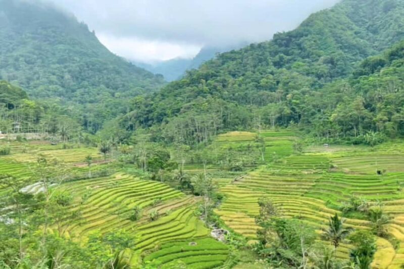 Borobudur: Nepal Van Java & Selogriyo Rice Terraces Private - What makes this tour stand out?