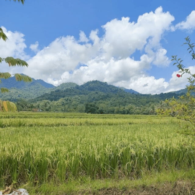 Borobudur: Pottery Making Workshop with Expert Craftmen - Perceived Value and Practical Details
