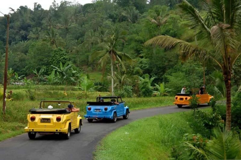 Borobudur: Private Volkswagen Thing Countryside Safari - What Makes This Tour Stand Out?