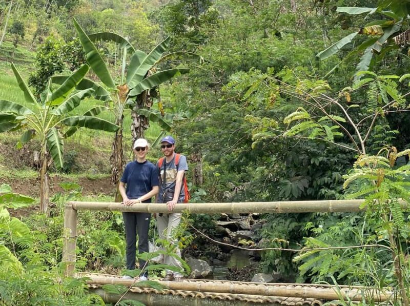 Borobudur & Selogriyo Rice Terraces Private Tour with Lunch - A Deep Dive into the Experience