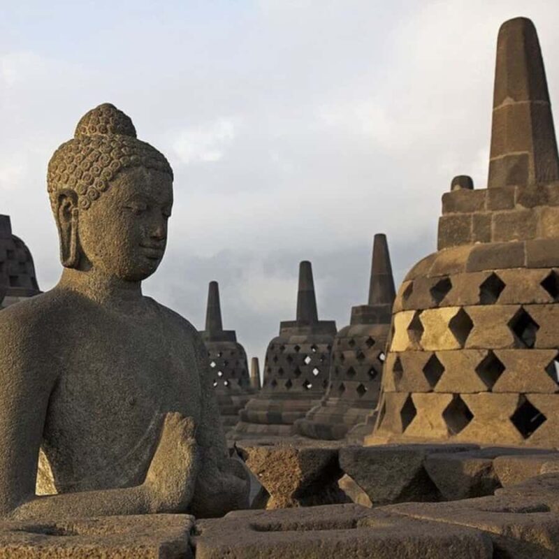 Borobudur Temple & Selogriyo Rice Terraces - What’s Special About This Tour