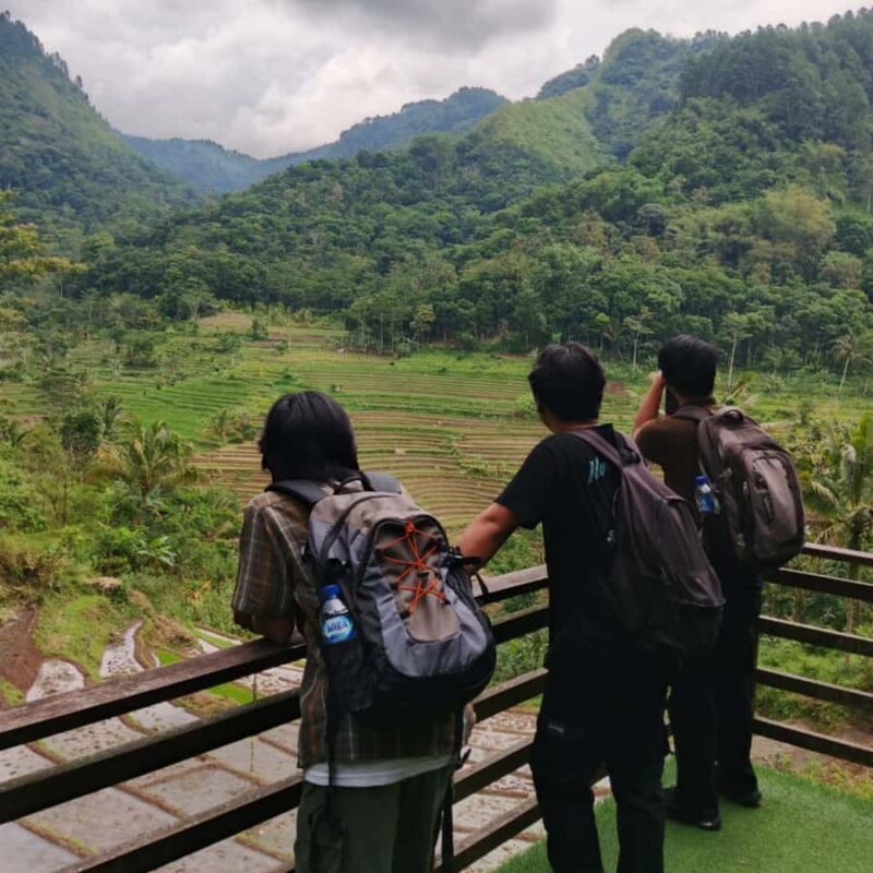 Borobudur Temple & Selogriyo Rice Terraces - Conclusions