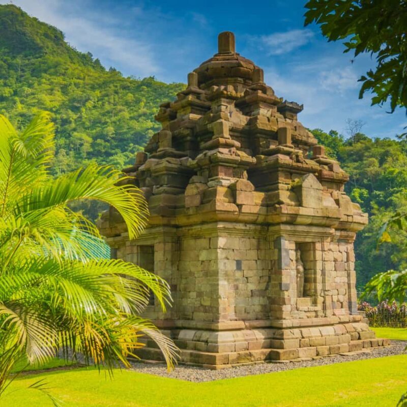 Borobudur Temple & Selogriyo Rice Terraces - FAQ