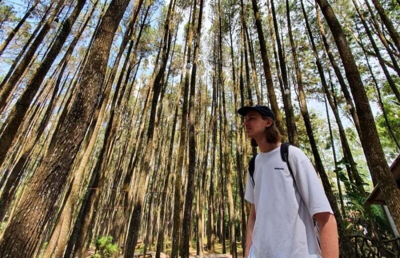 Borobudur's Private Trip & Customized - The Sum Up