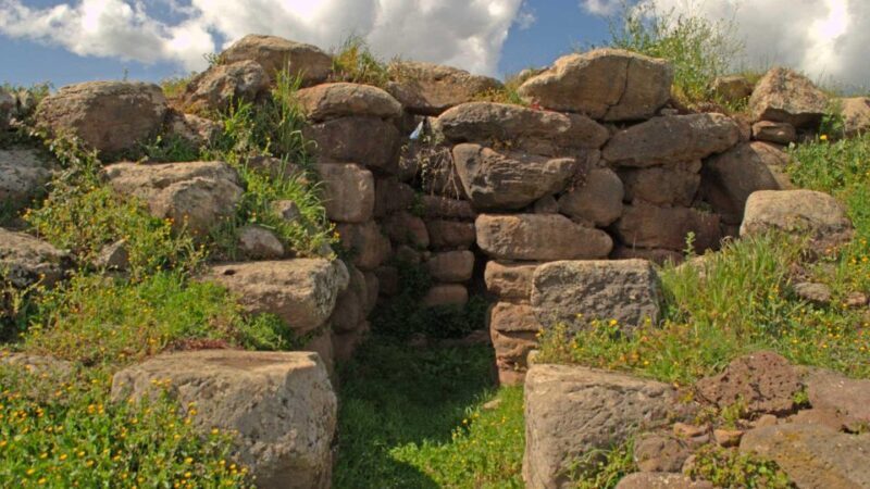 Borore: archaeological tour with tasting - End with a flavorful local tasting