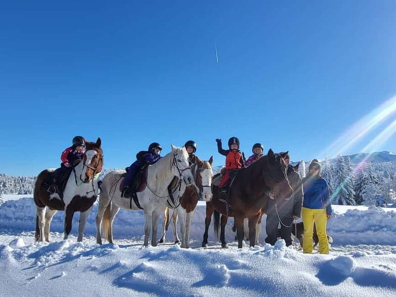 Borovets: Horse Riding Experience - What Is the Borovets Horse Riding Experience?