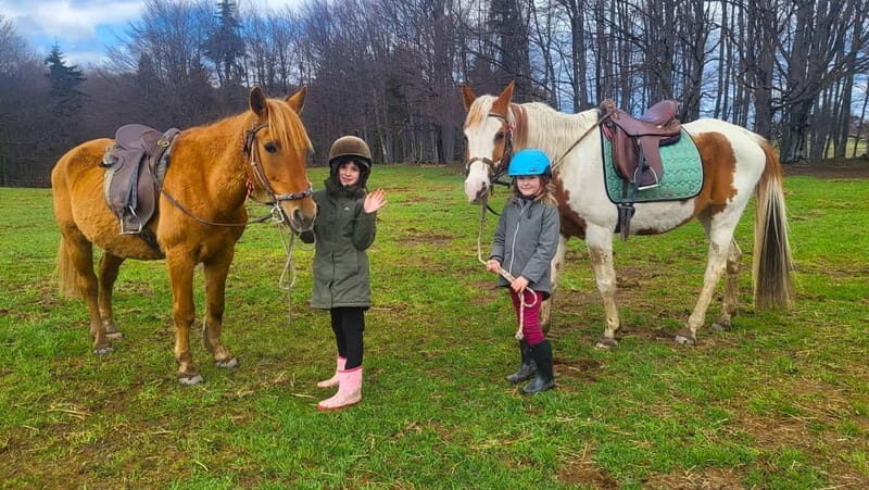 Borovets: Horse Riding Experience - Learning the Ropes: Beginner vs. Experienced Riders
