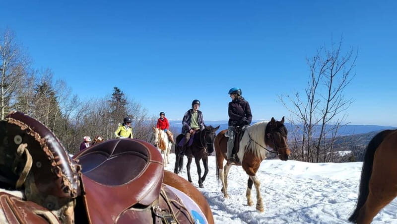 Borovets: Horse Riding Experience - What’s Included and What’s Not